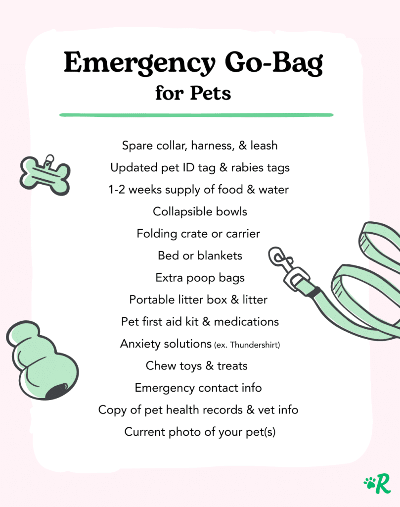 How to Create an Emergency Preparedness Plan for Your Pets