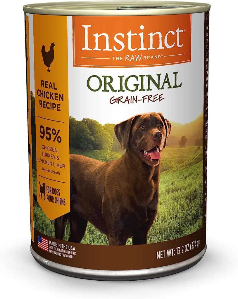 The 12 Best Canned and Wet Dog Foods for Pups of All Types