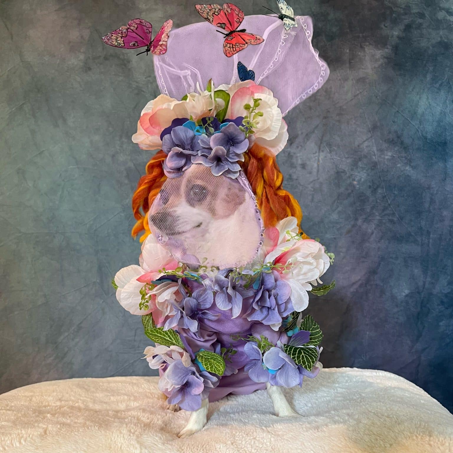 Doggie Drag Queen Rocks Costumes Inspired by 'RuPaul's Drag Race'