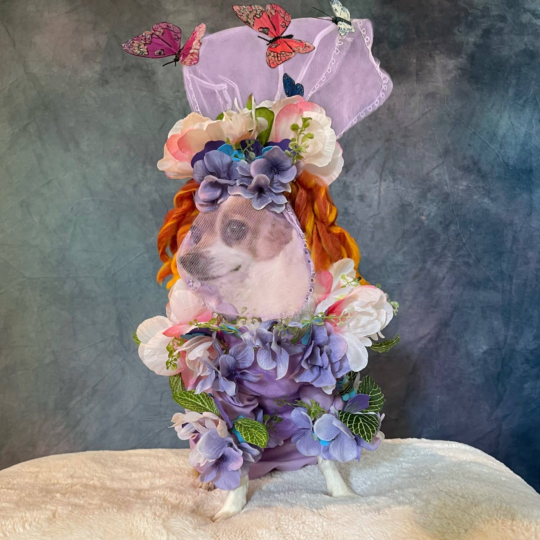 Doggie Drag Queen Rocks Costumes Inspired by 'RuPaul's Drag Race'