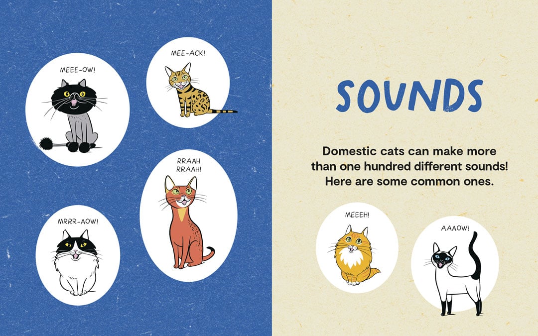 Adorably Illustrated Book Helps Decode Cat Body Language