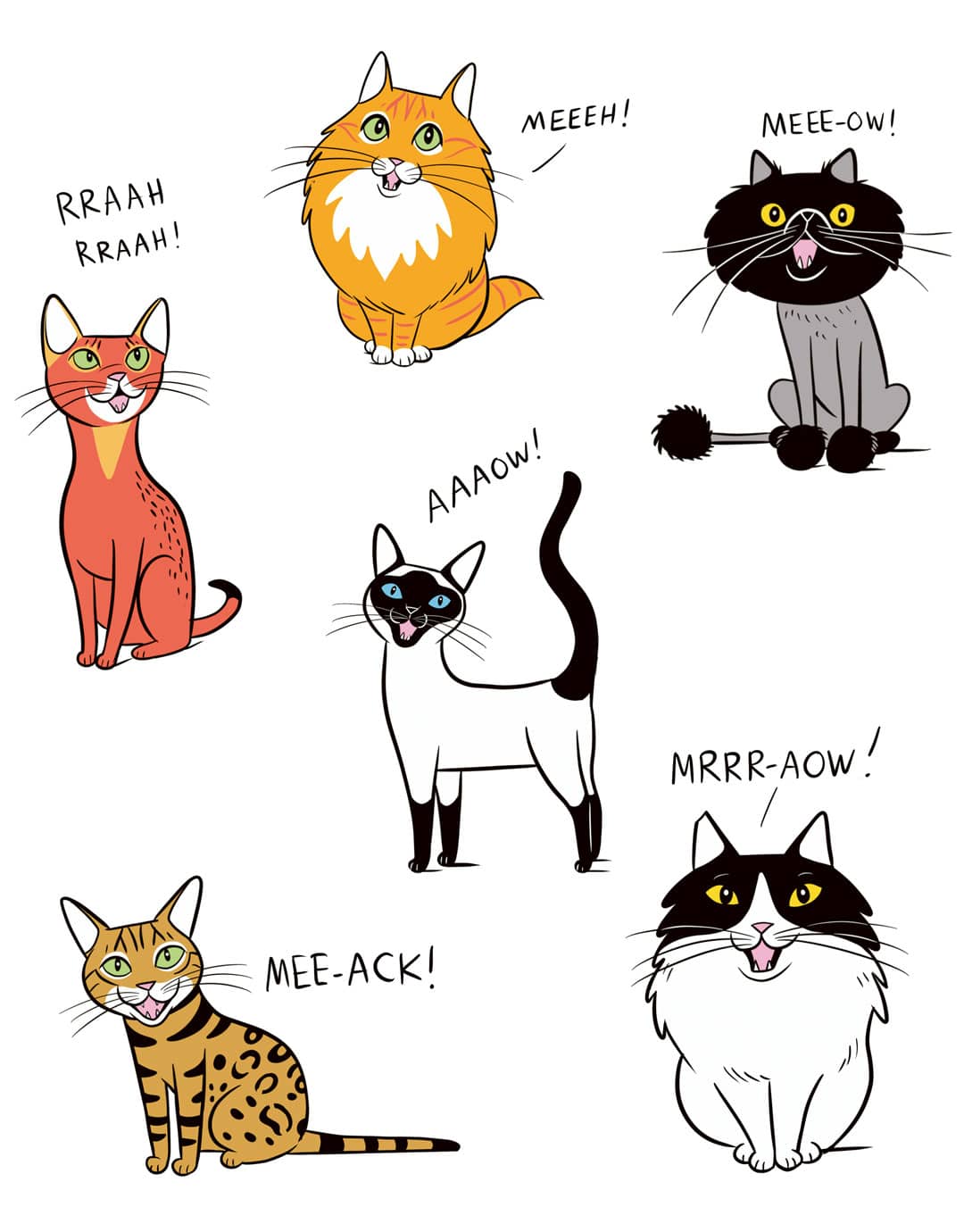 Adorably Illustrated Book Helps Decode Cat Body Language