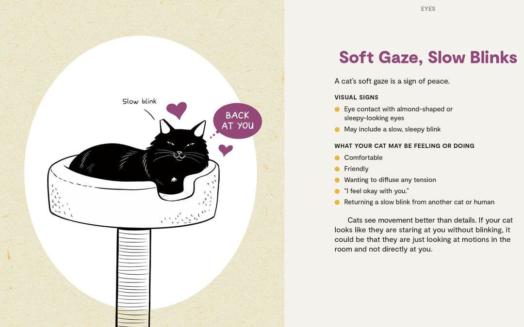 Adorably Illustrated Book Helps Decode Cat Body Language