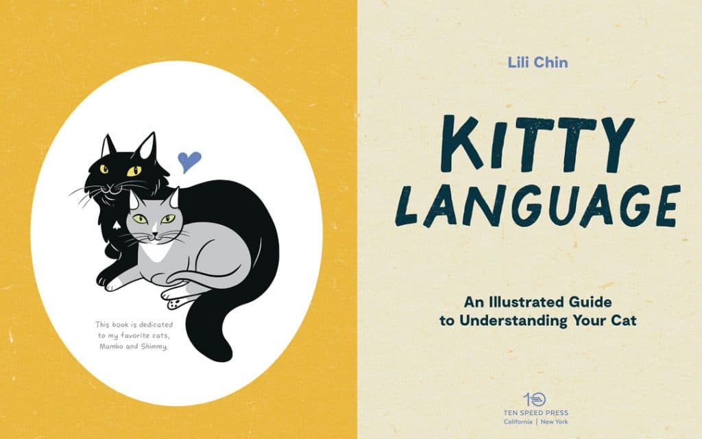 Adorably Illustrated Book Helps Decode Cat Body Language