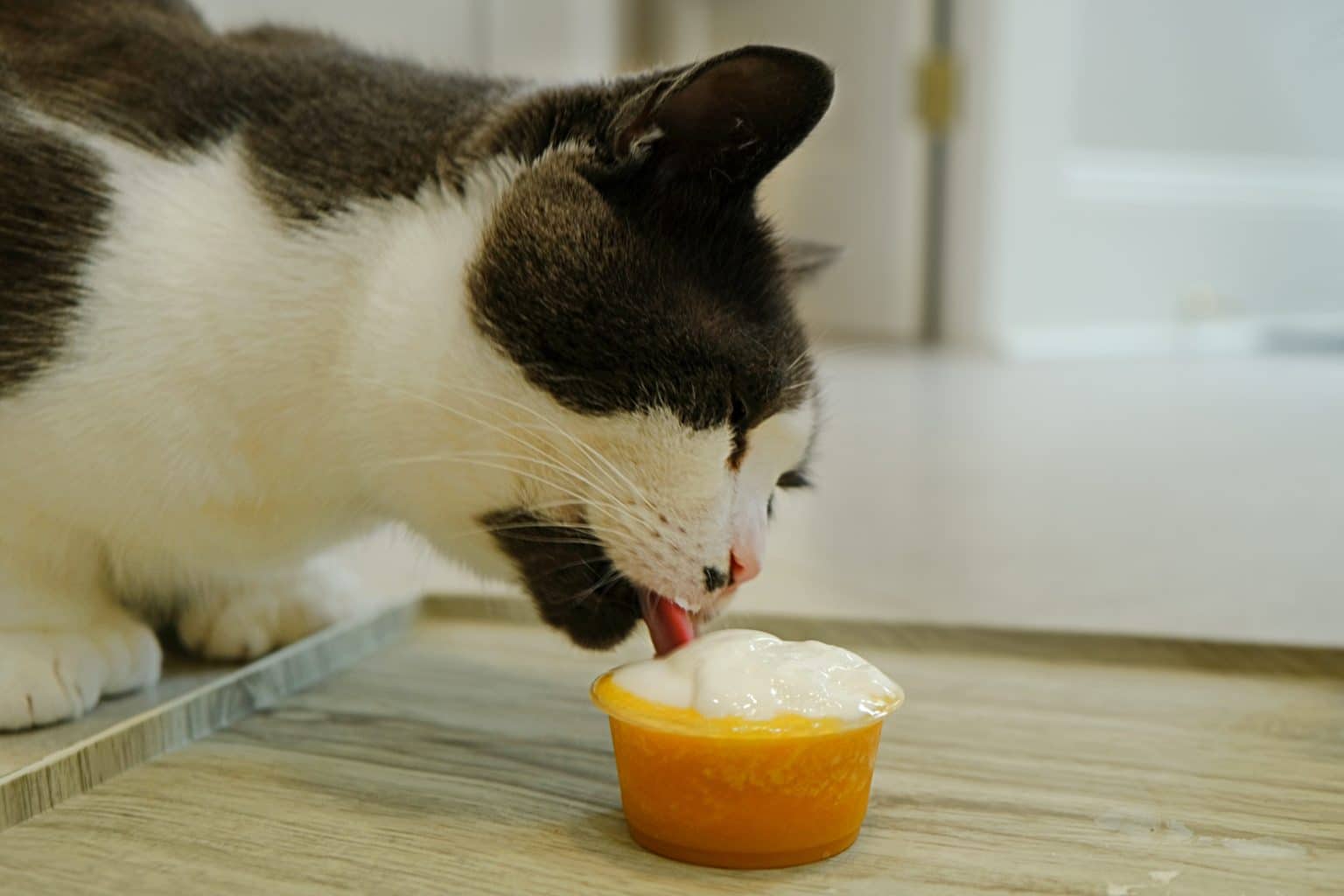 This Pumpkin No-Spice Latte for Cats Is Anything but Basic [Recipe]