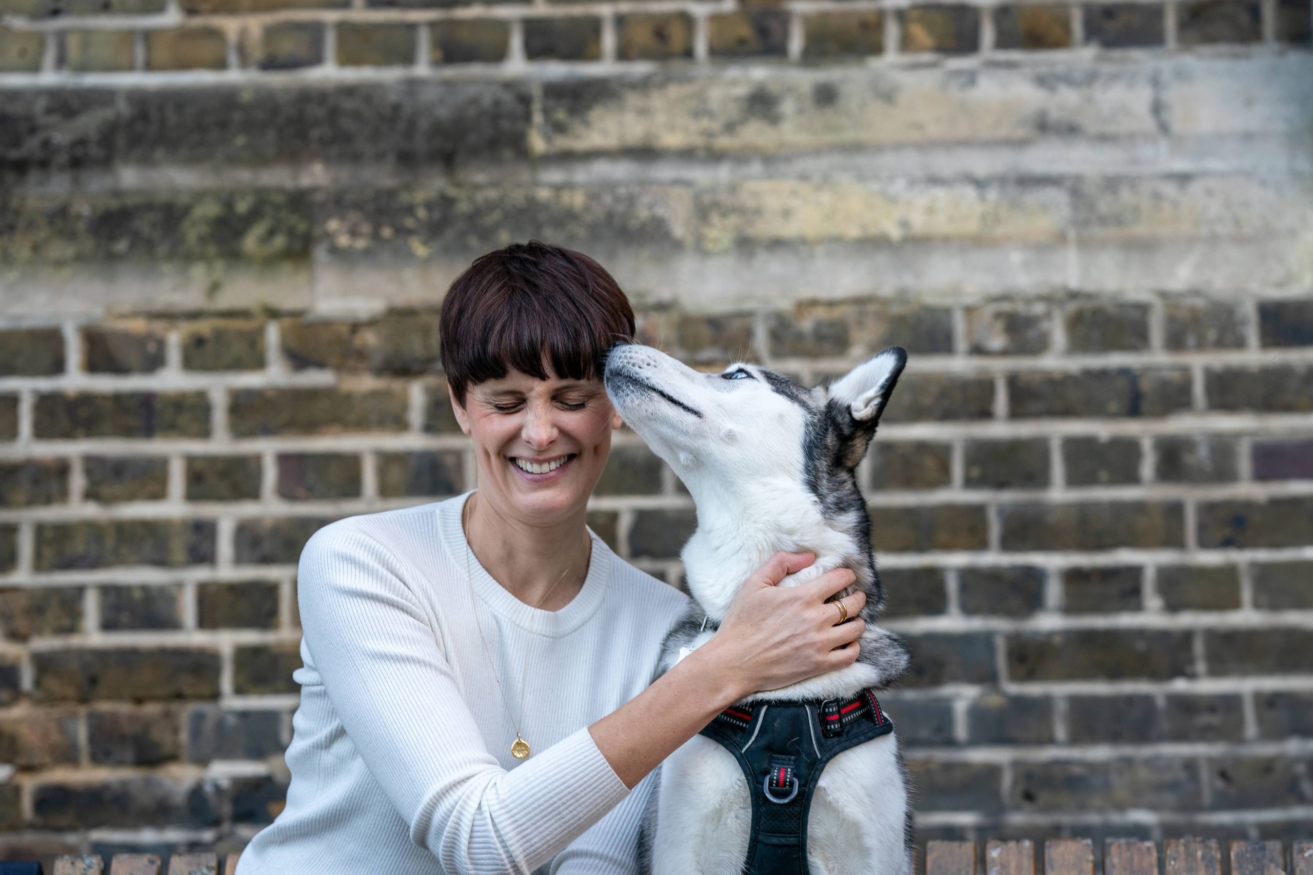 Valentine’s Day’s Ultimate Green Flag: What Pets Can Teach Us About ...