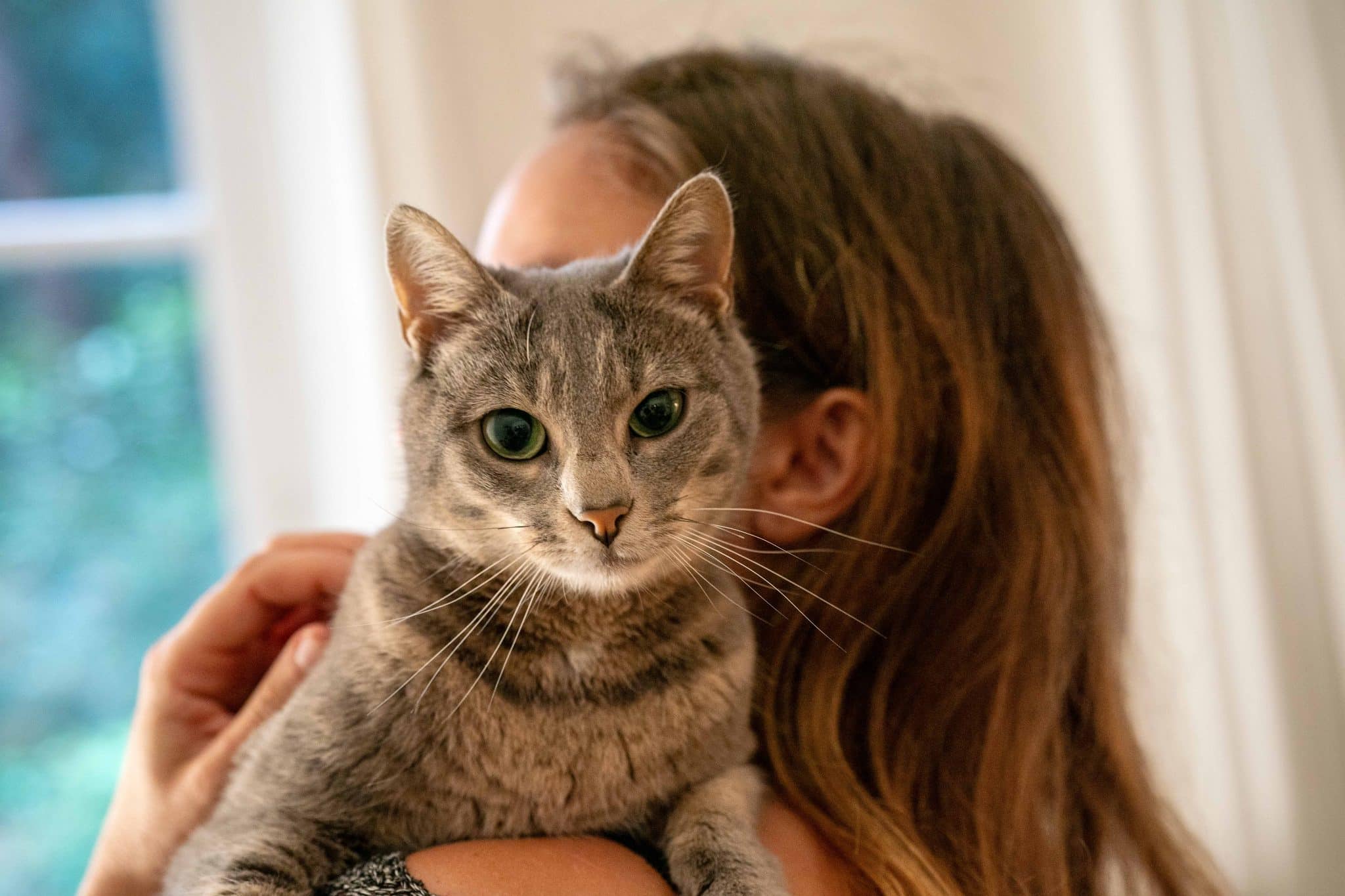 Are pet people better off? Science suggests yes. | The Rover Blog