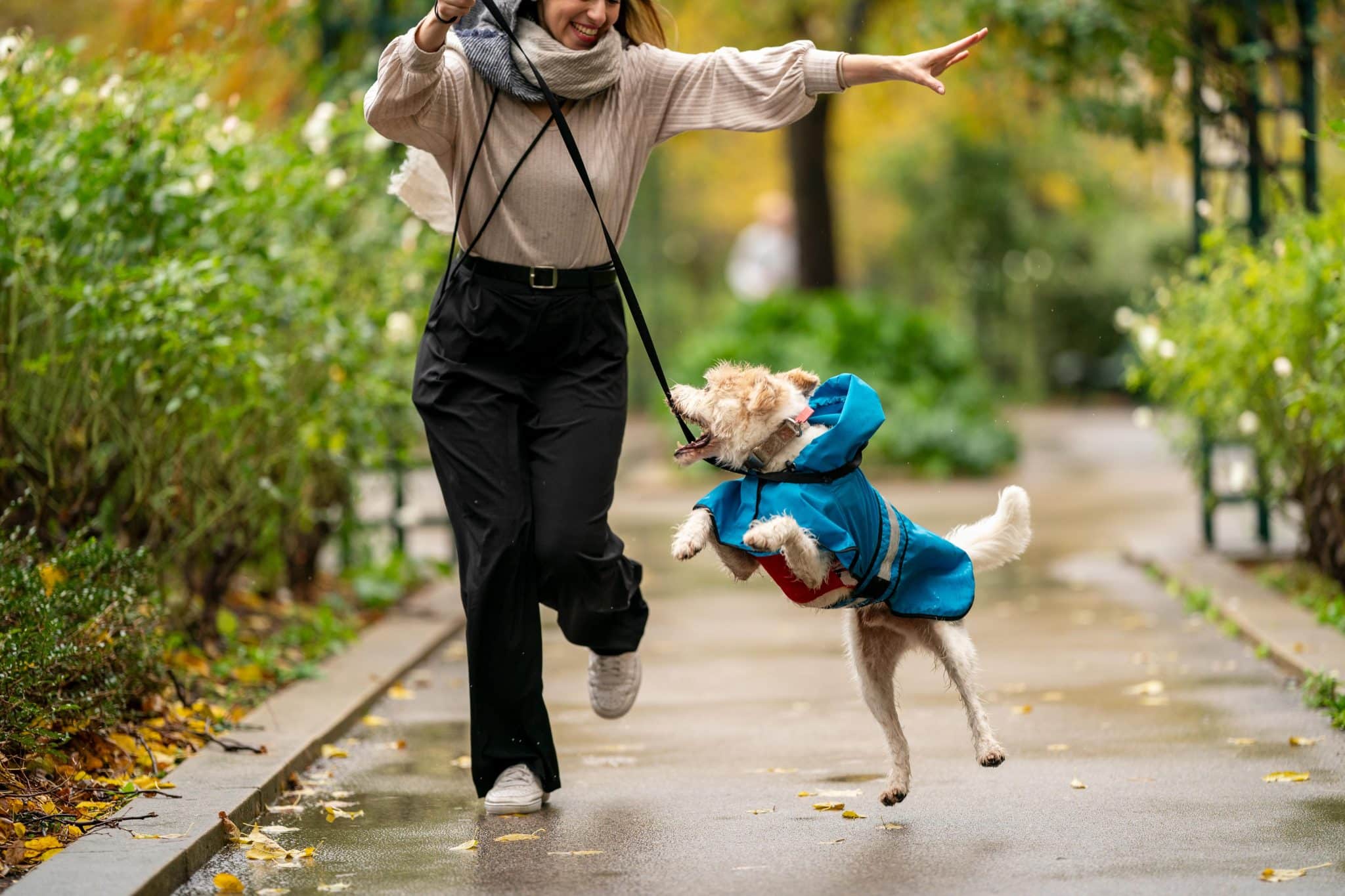 An Expert Guide To Walking the (Dog) Walk | The Dog People by Rover.com