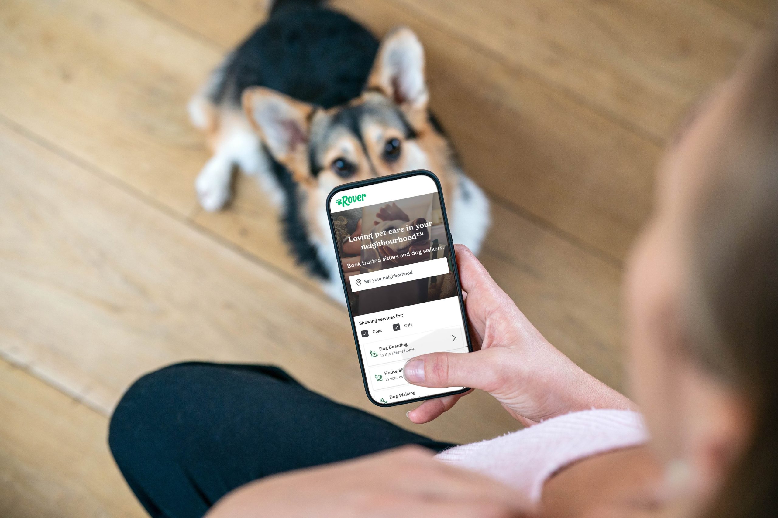 Know Before You Go: New CDC Import Requirements for Dogs Entering the U ...