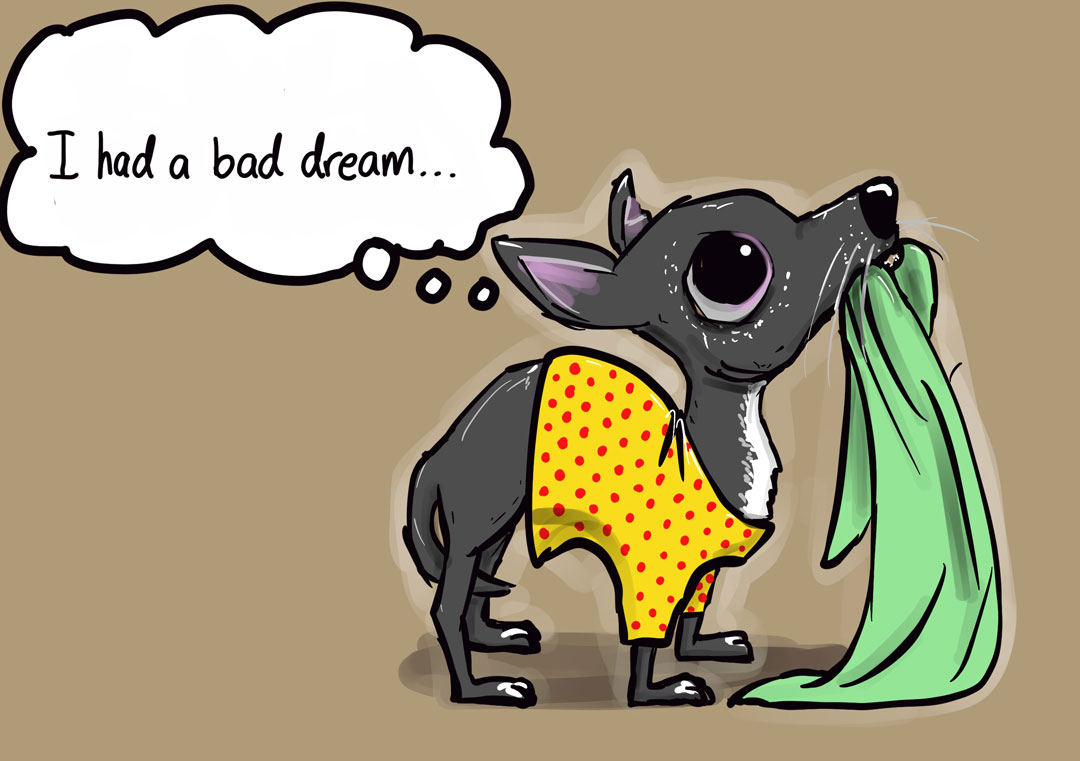 Morty the Misfit Will Prance His Way Into Your Heart | The Dog People ...