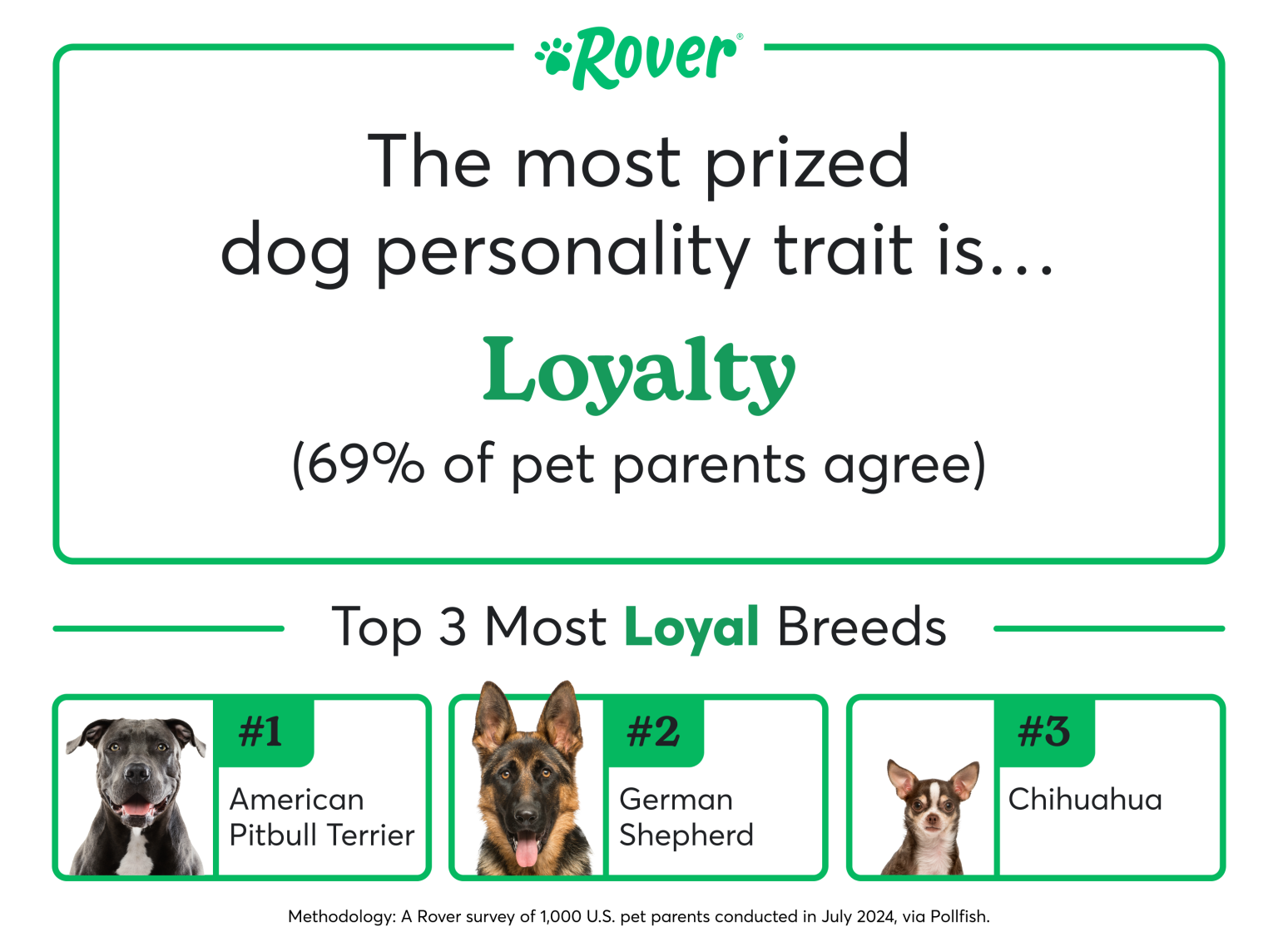 The Most Popular Dog Breeds in the U.S. in 2024 | Rover.com