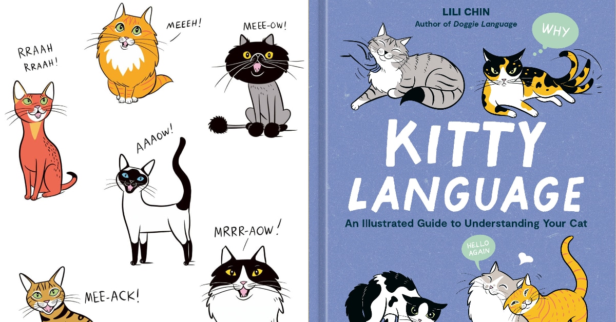 Adorably Illustrated Book Helps Decode Cat Body Language