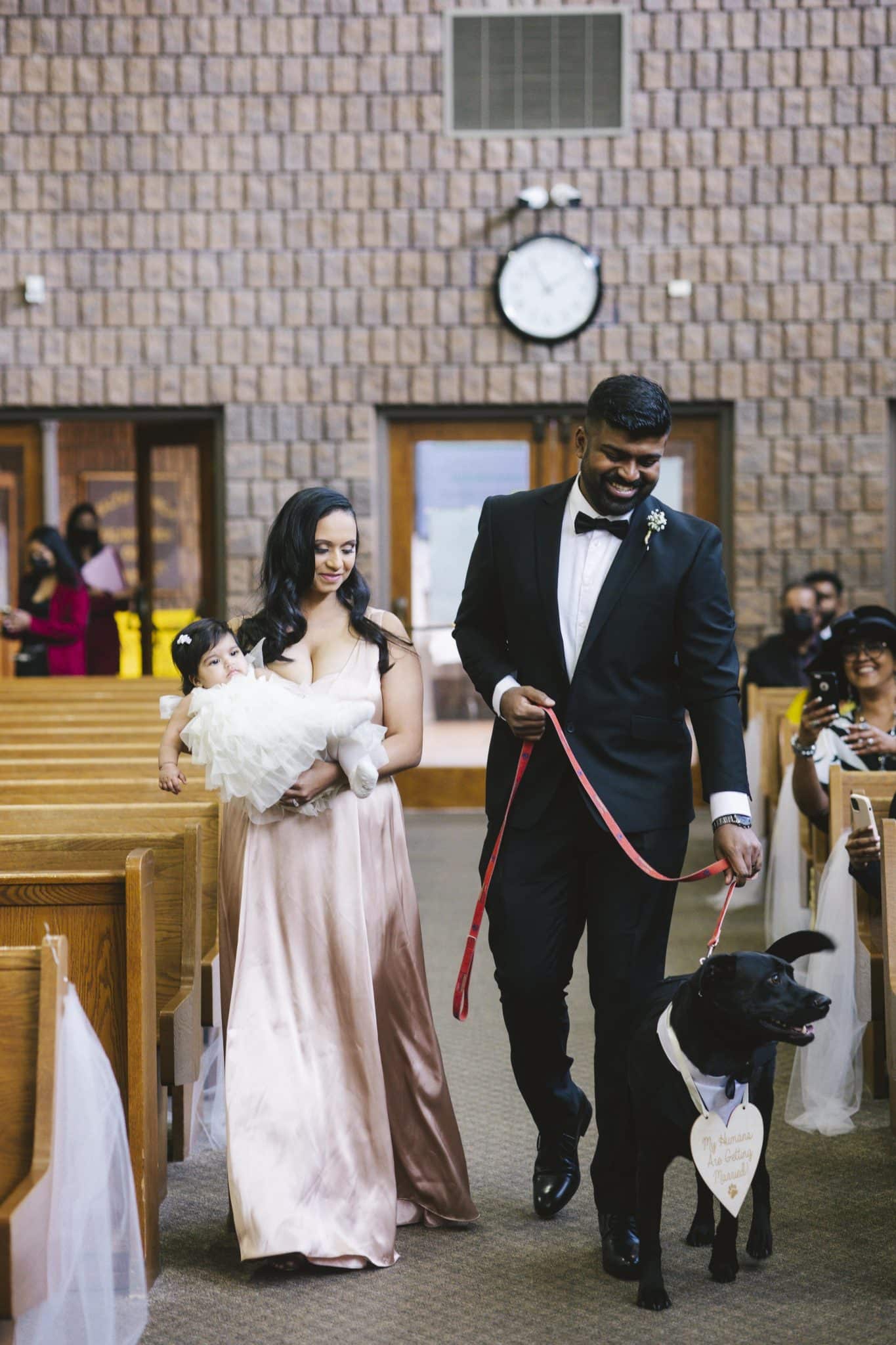 27 Tips for Including Your Pets In Your Wedding