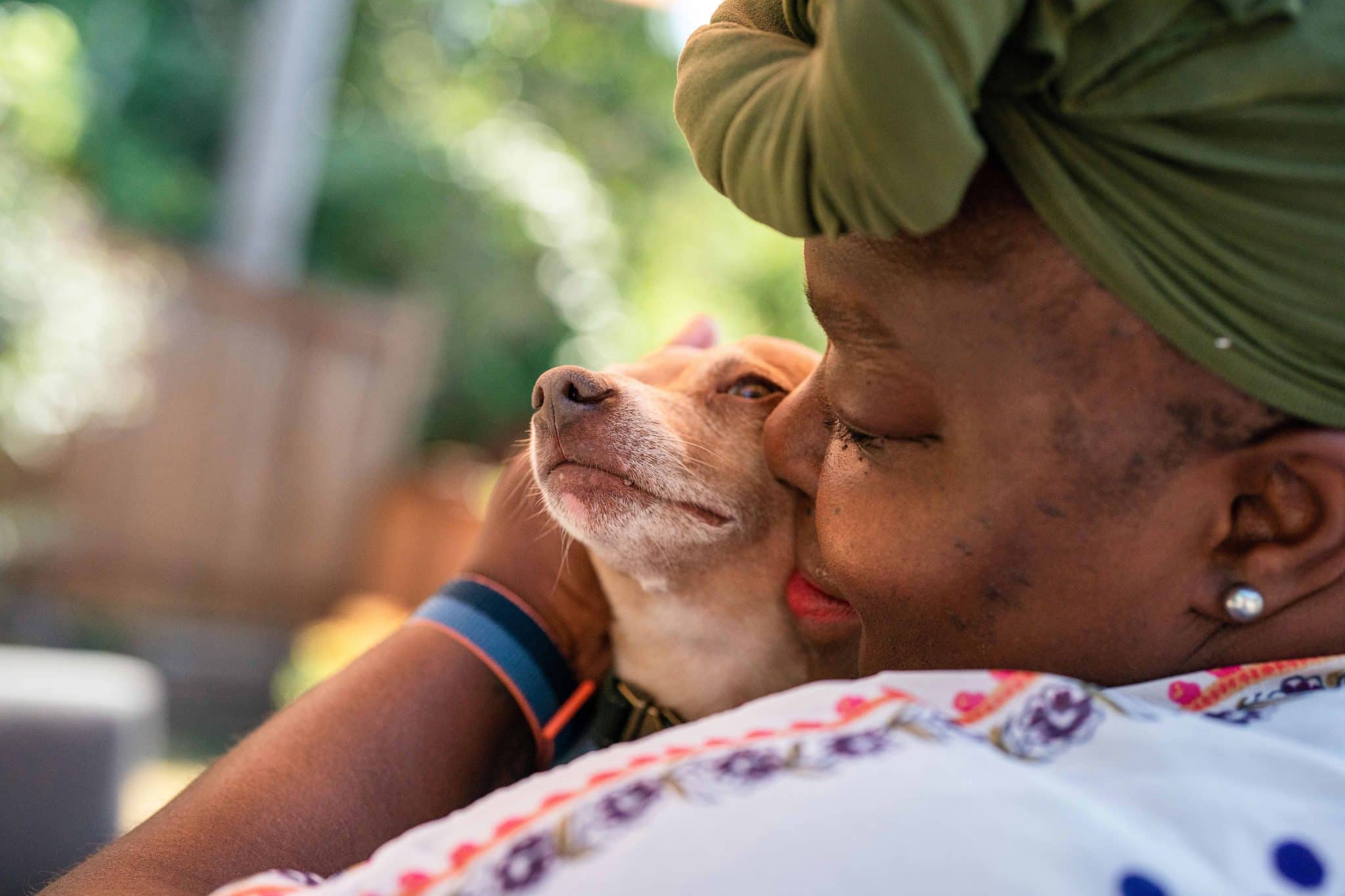 Pandemic Pet Check-In: How Are Dogs Adjusting in a Post-Pandemic World ...