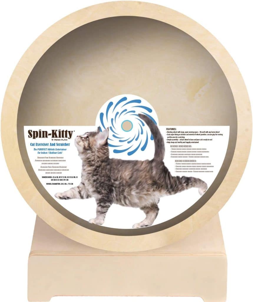 The 5 Best Cat Exercise Wheels to Get Kitty Moving