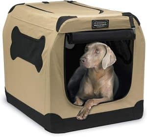 The 11 Best Dog Travel Crates for Life on the Go