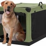 The 11 Best Dog Travel Crates for Life on the Go