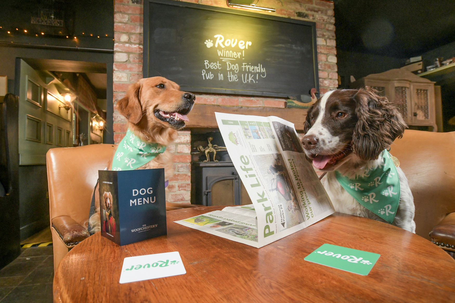 Rover Dog-Friendly Pub Awards