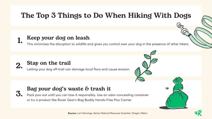 Leash Up, Bag Poop, and Stay on Trail When Hiking With Dogs, Experts ...