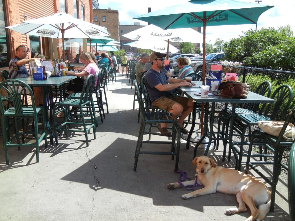 FDA Says Yes, Dogs Can Join People for Outdoor Dining