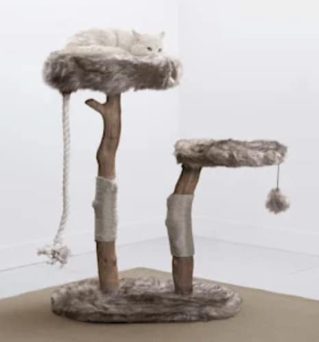 Modern Cat Trees | Entertain Your Cat and Enhance Your Decor