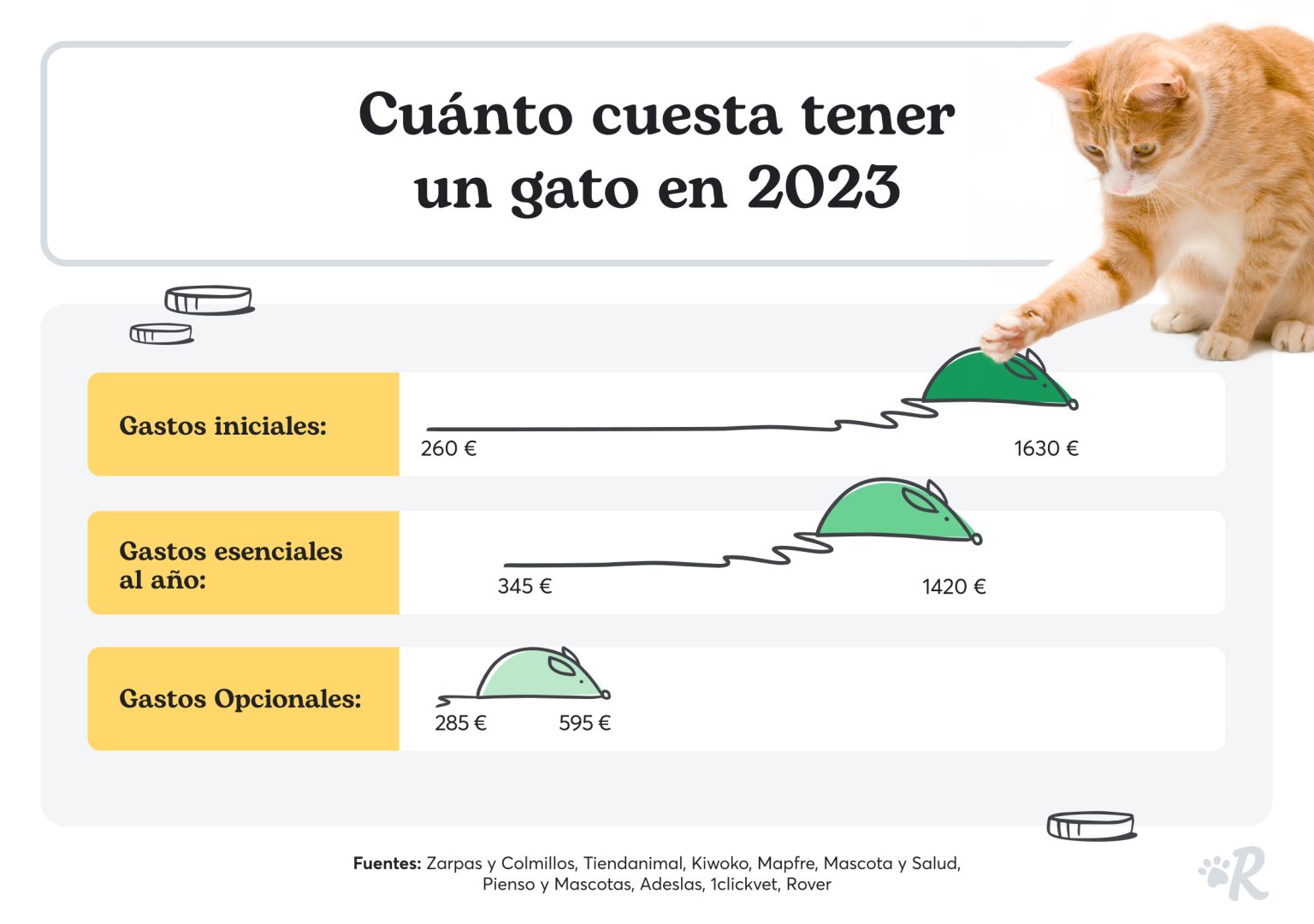 Cuánto cuesta tener un gato