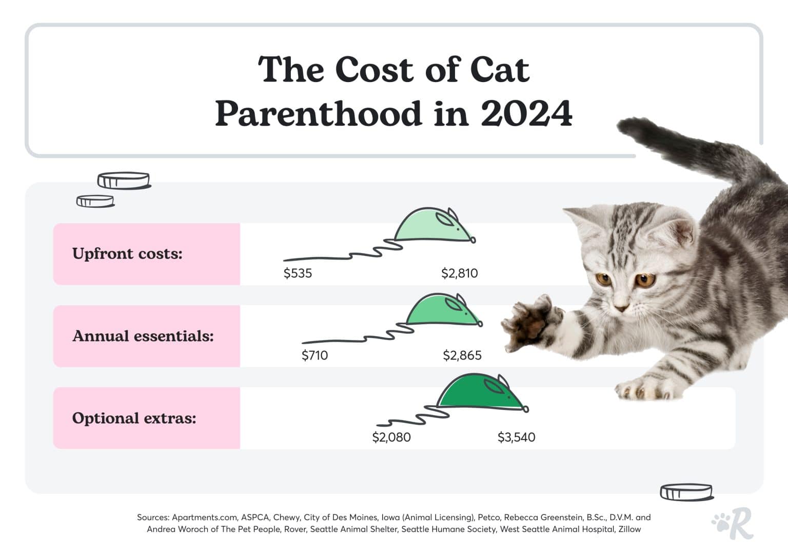 How Much Do Cats Costs? Annual, Monthly & More Expenses