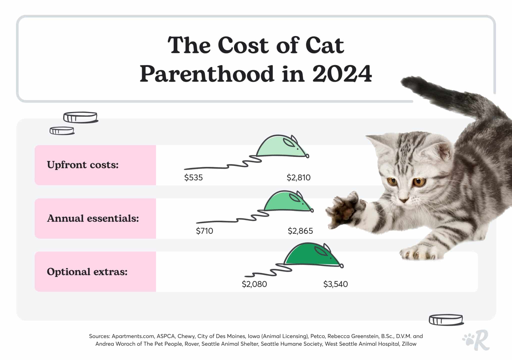 How Much Do Cats Costs? Annual, Monthly & More Expenses