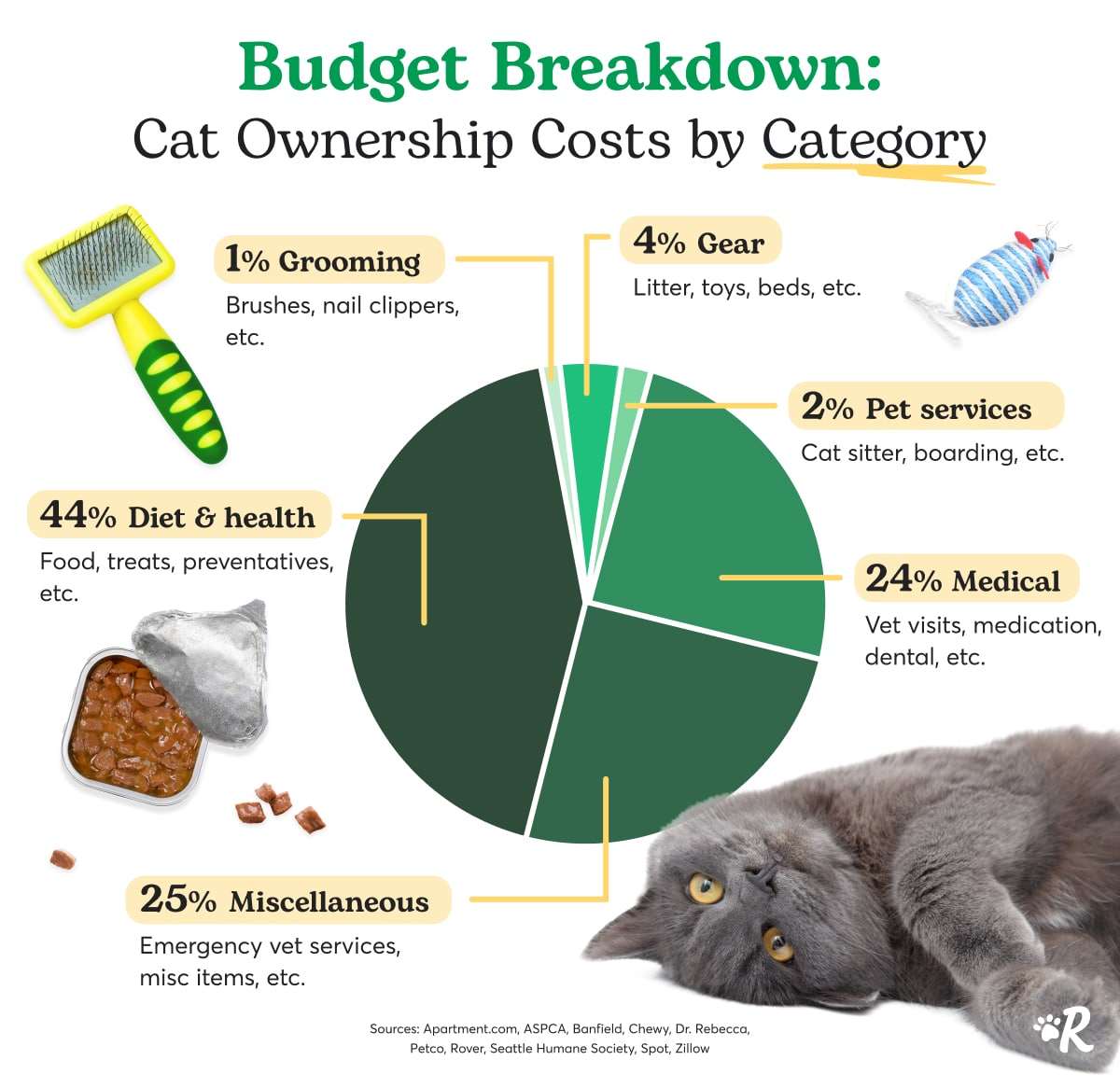 How Much Do Cats Costs? Initial, Annual, Monthly & More
