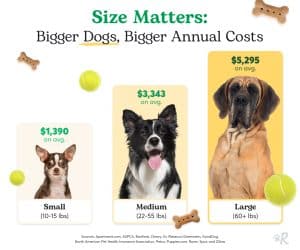 How Much Does a Dog Cost? Upfront, Annual, & Monthly Expenses