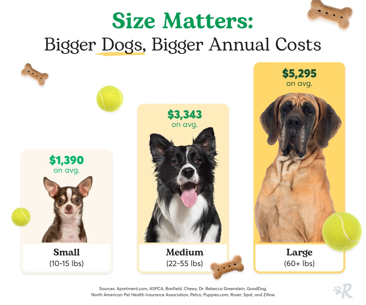 How Much Does a Dog Cost? Upfront, Annual, & Monthly Expenses