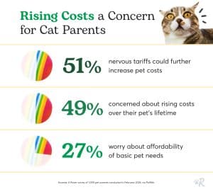 How Much Do Cats Costs? Initial, Annual, Monthly & More
