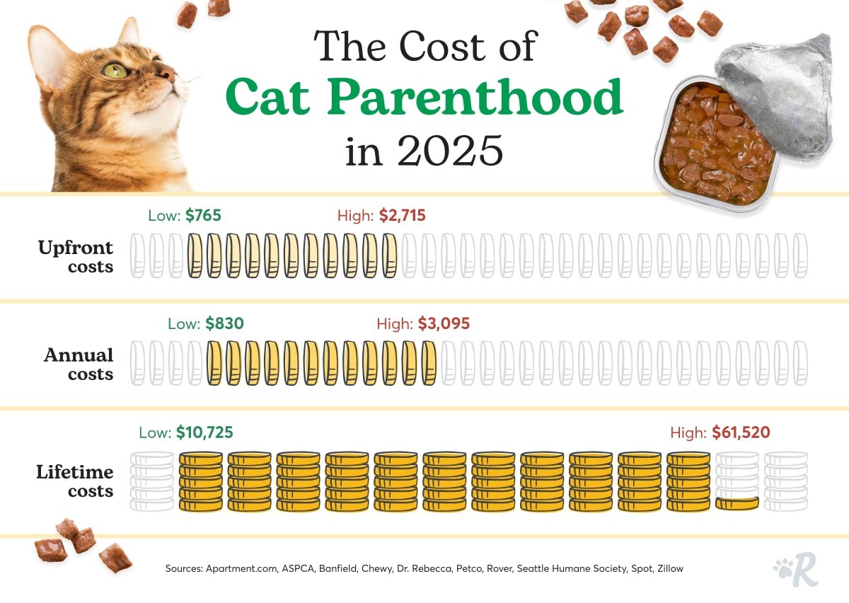 How Much Do Cats Costs? Initial, Annual, Monthly & More