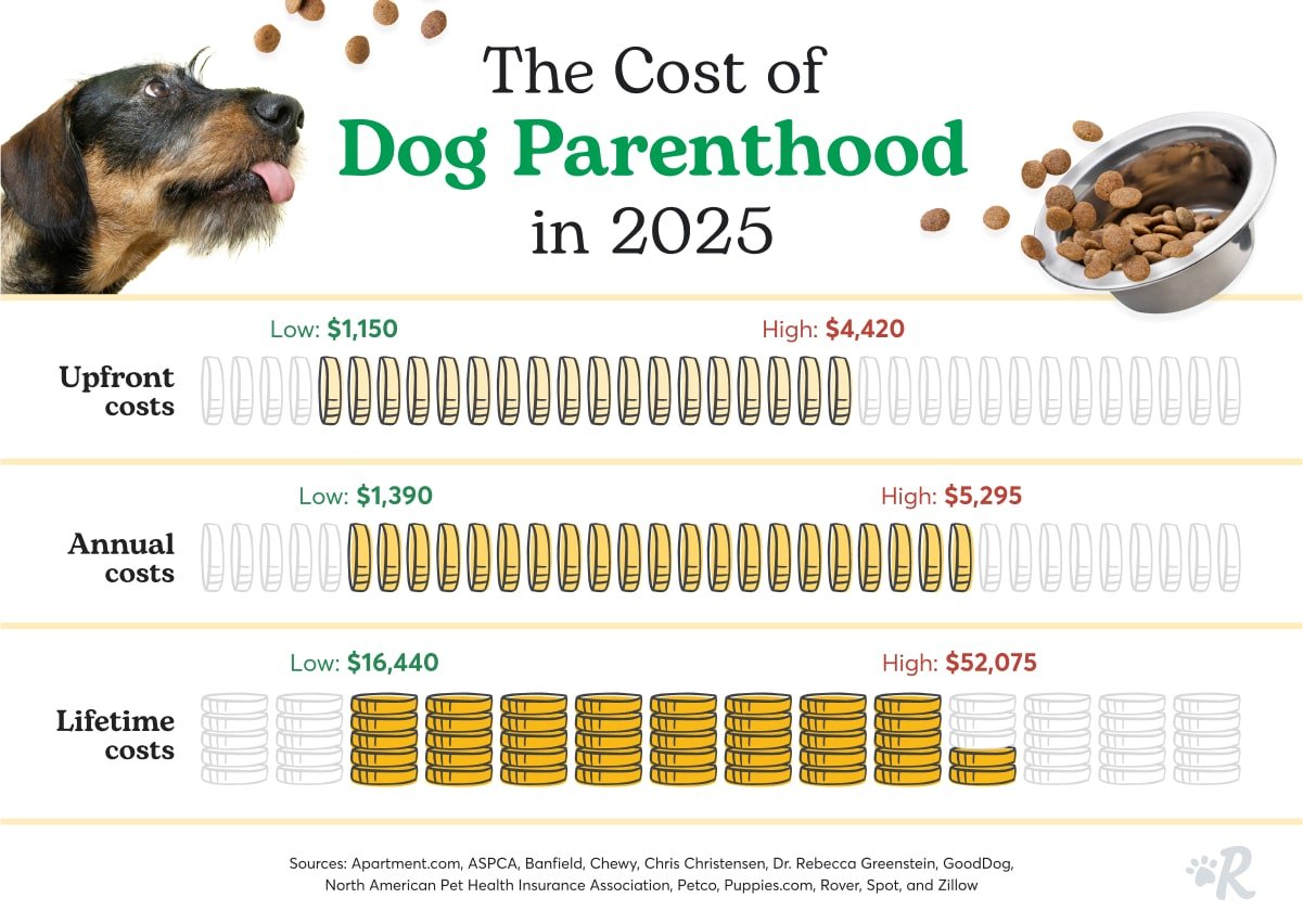 How Much Does a Dog Cost? Upfront, Annual, & Monthly Expenses
