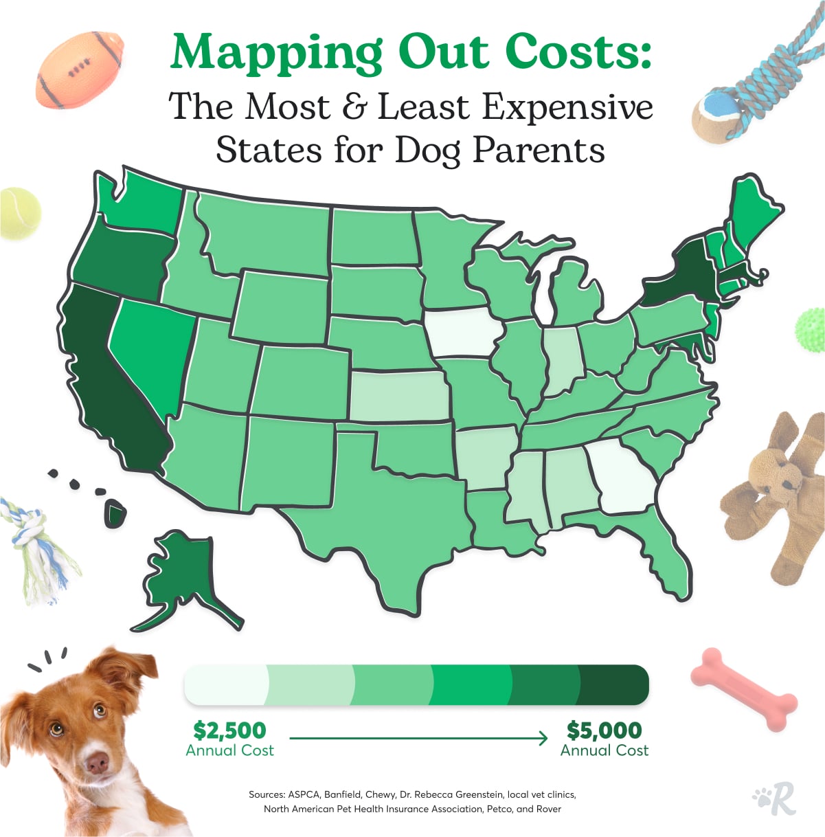 How Much Does a Dog Cost? Upfront, Annual, & Monthly Expenses