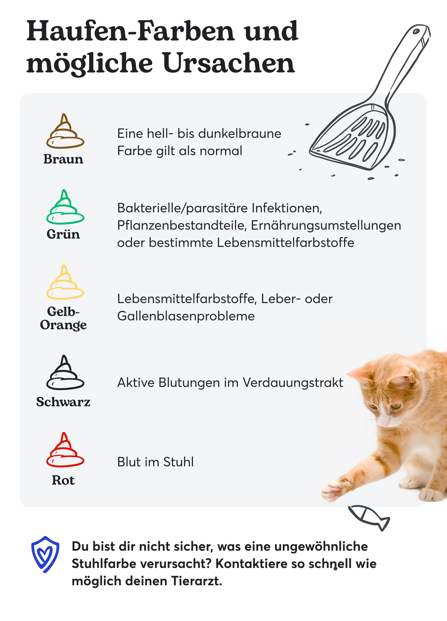 Katzenkot bei Erkrankungen: Tabelle zu Farbe, Beschaffenheit und Ursachen