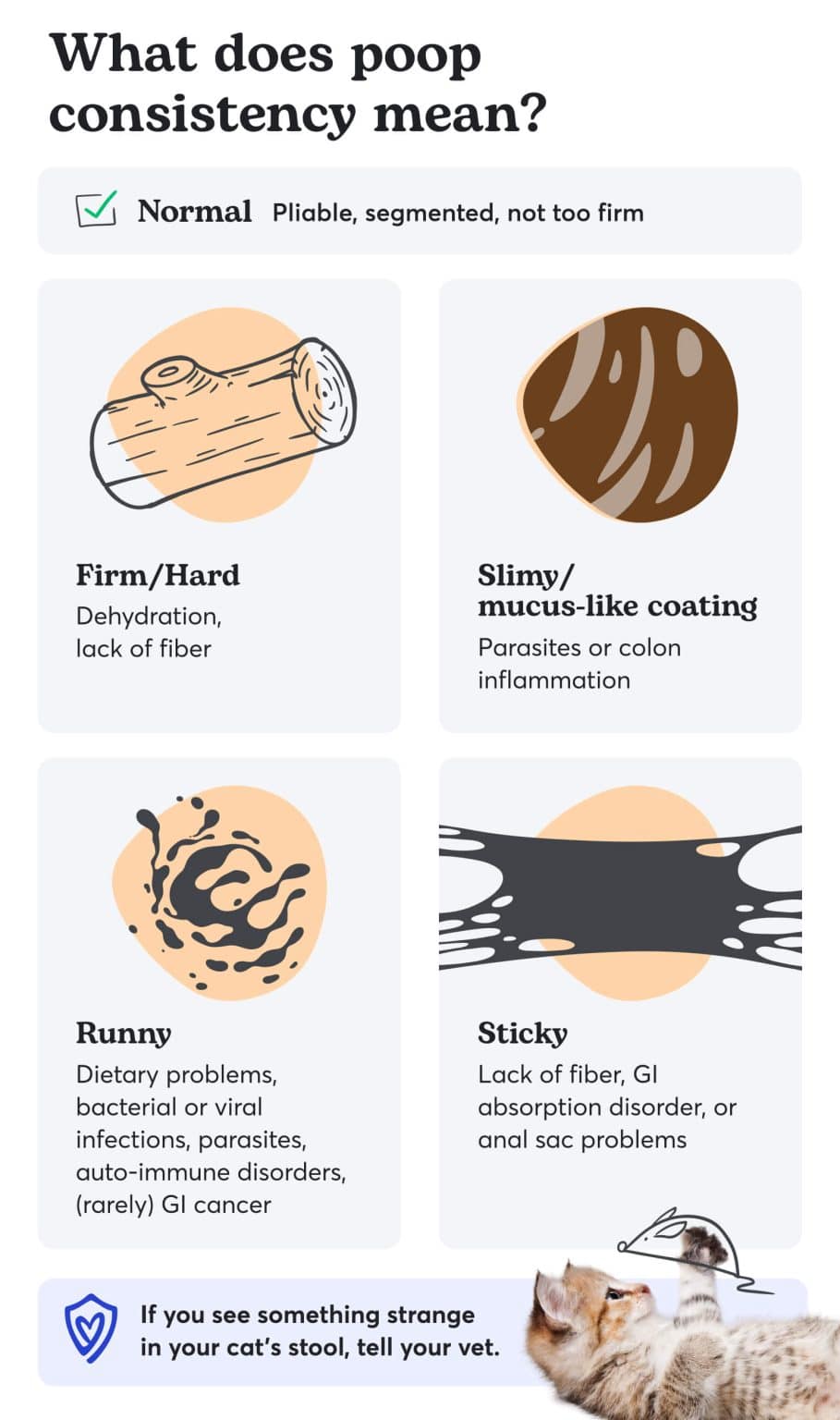 Unhealthy Cat Poop Chart: Color, Consistency & Causes