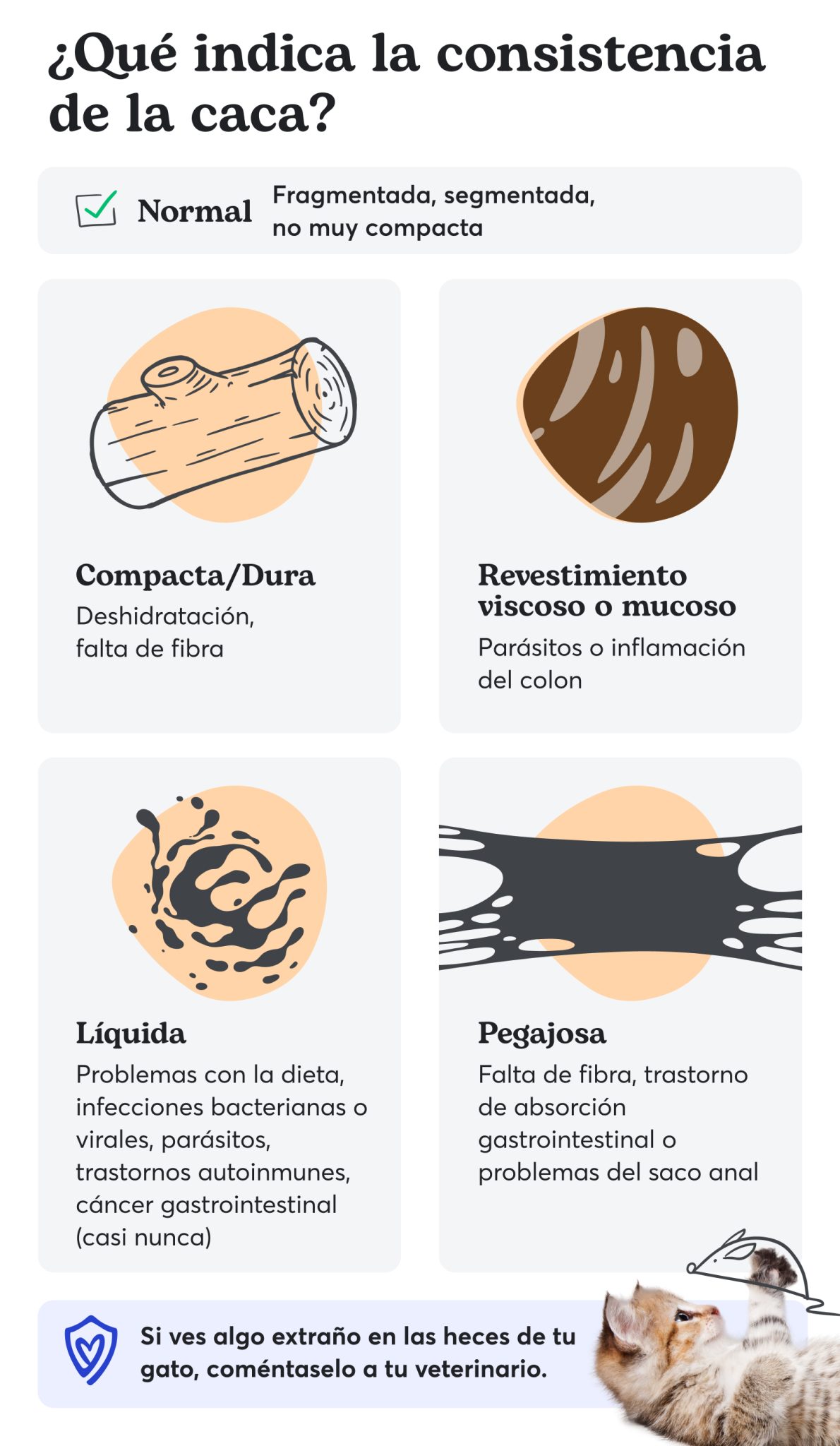 ¿No sabes si las cacas de tu gato tienen un aspecto normal?