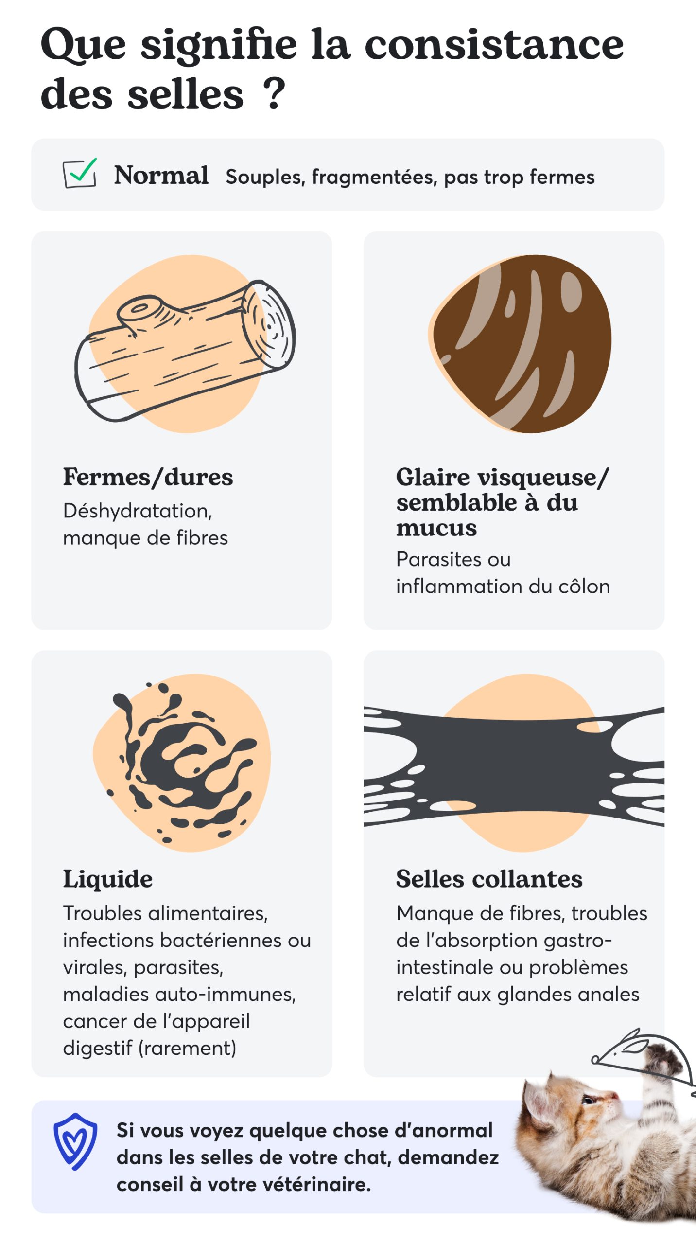 Selles de chats non saines : couleur, consistance et causes