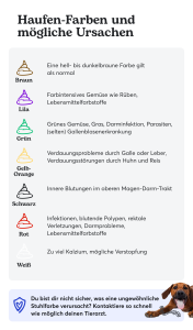 Hundekottabelle: Welche Farben haben gesunder und ungesunder Kot?