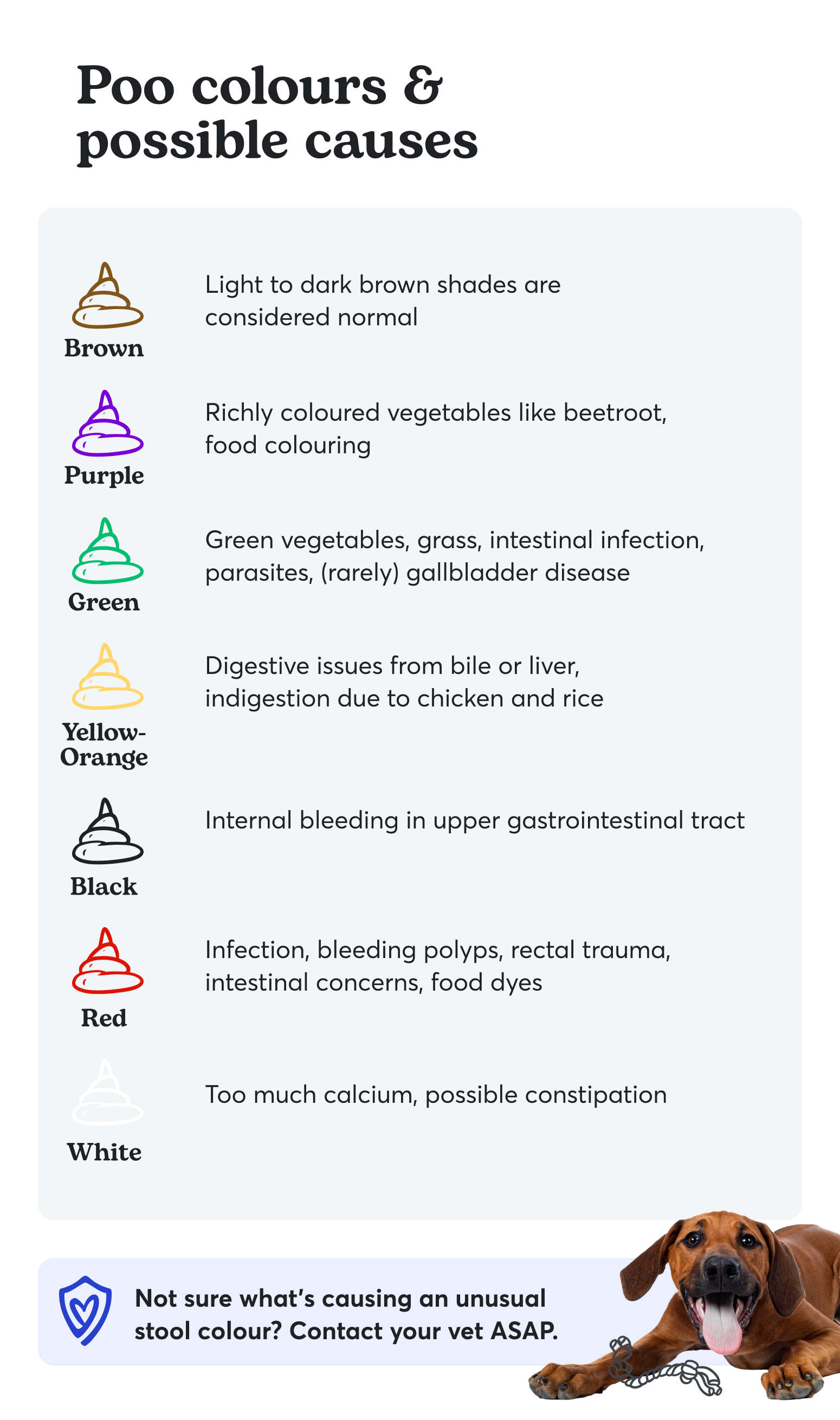 Dog Poop Chart: What Colour Should Healthy or Unhealthy Poop Be?