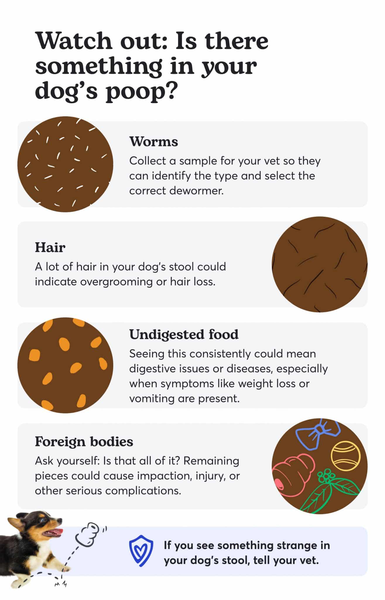 Dog Poop Chart: What Color Should Healthy or Unhealthy Poop Be?