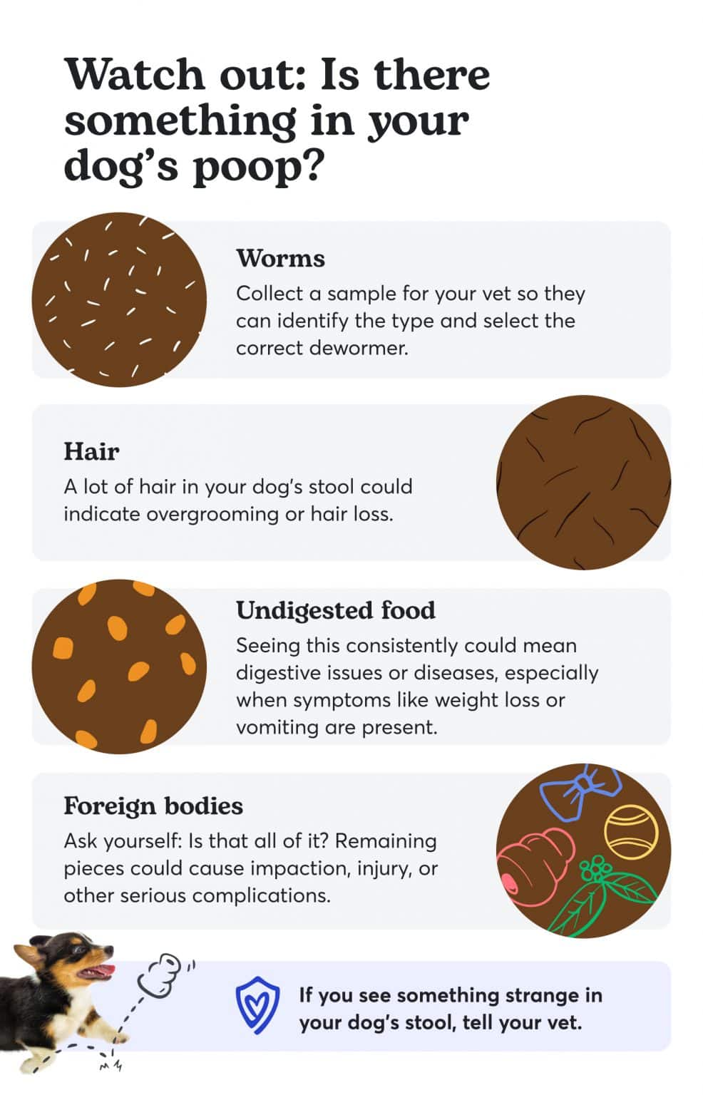 Dog Poop Chart: What Color Should Healthy or Unhealthy Poop Be?