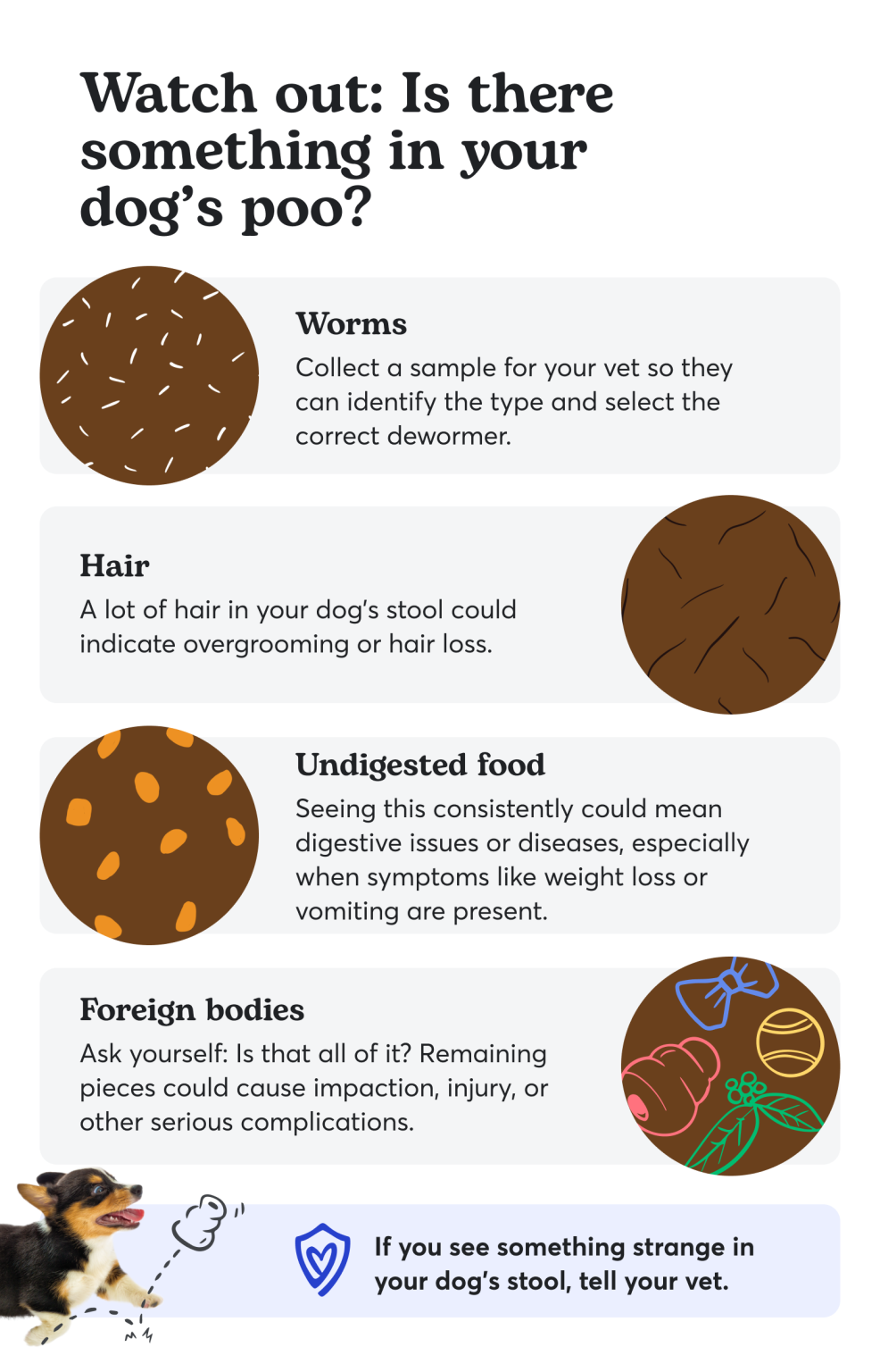 Dog Poop Chart: What Colour Should Healthy or Unhealthy Poop Be?