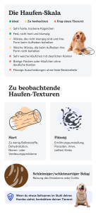 Hundekottabelle: Welche Farben haben gesunder und ungesunder Kot?