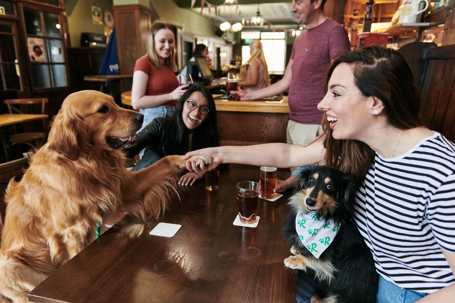 9 Dog-Friendly Pubs in Central London