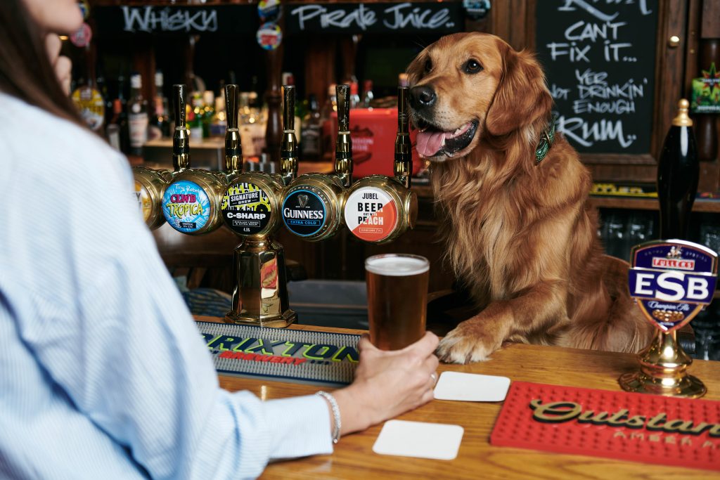 The 10 Best Dog-Friendly Pubs in the West Midlands