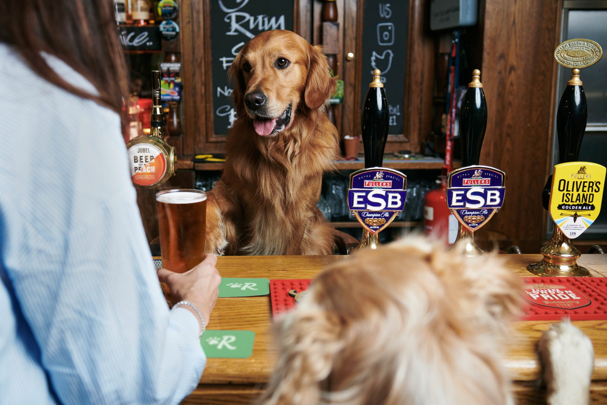 Tips For Taking Your Dog To The Pub For The First Time | The Dog People ...