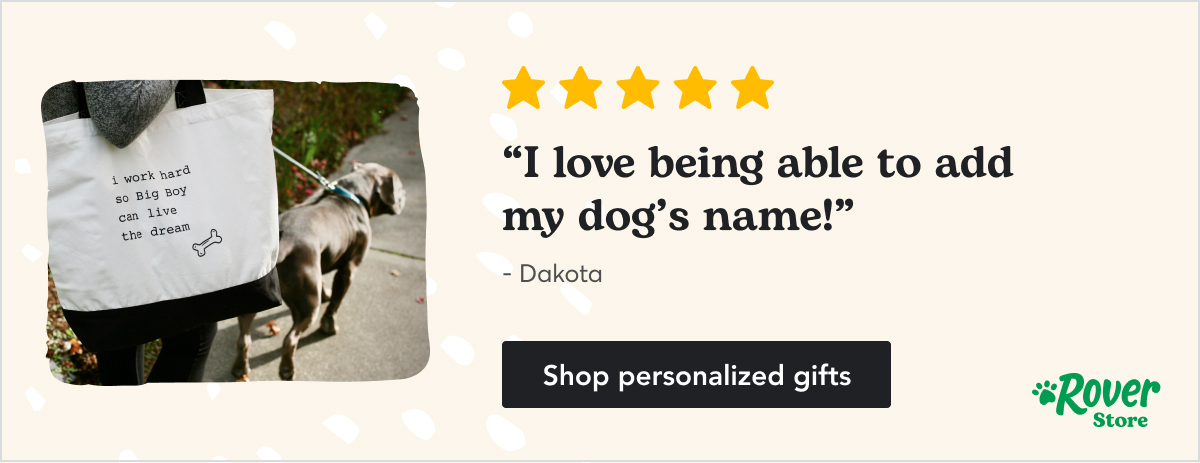 Top 100 Most Popular Dog Names in 2021 | Rover.com