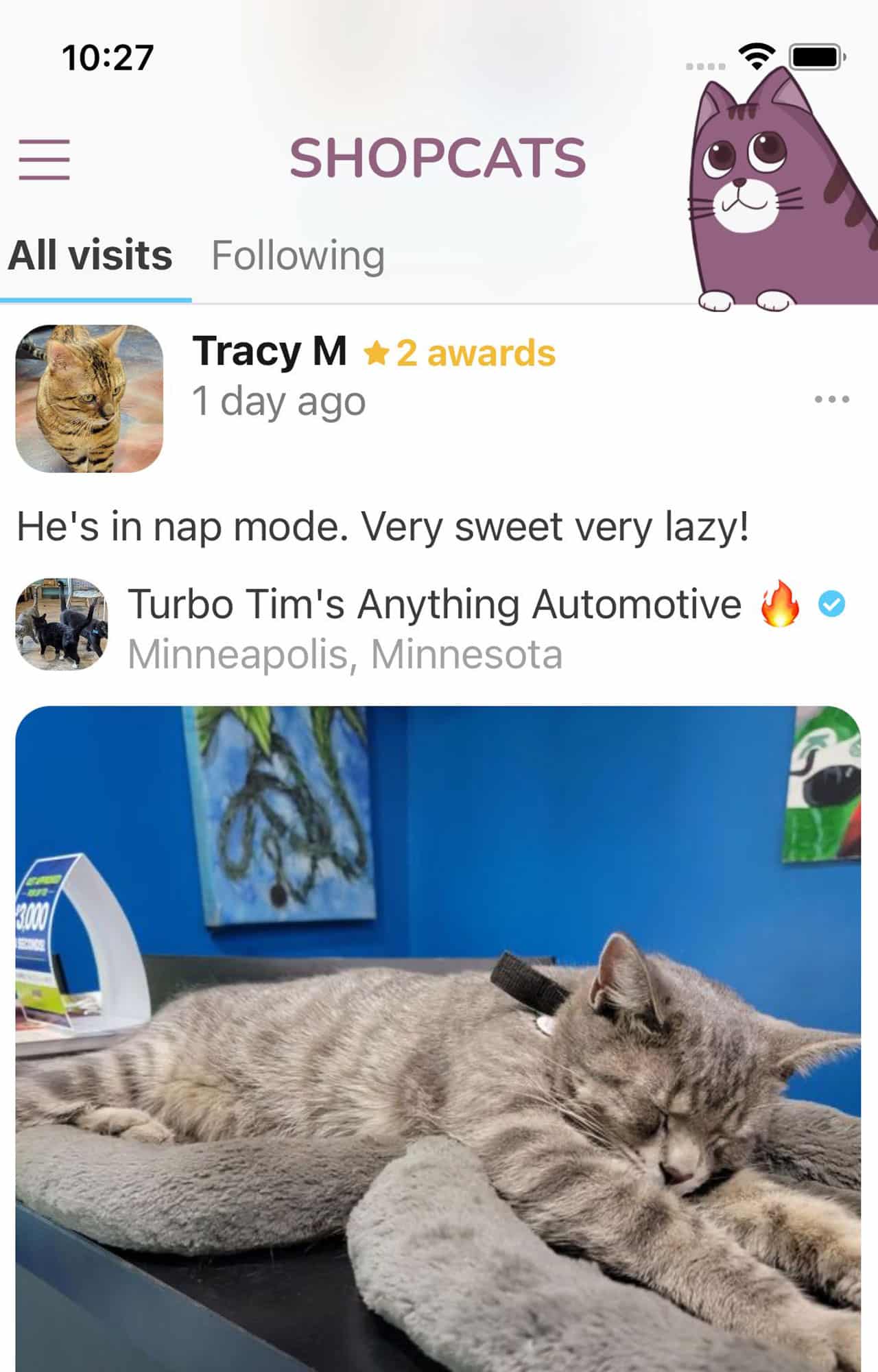 New App Helps You Find Cute Shop Cats Around the World